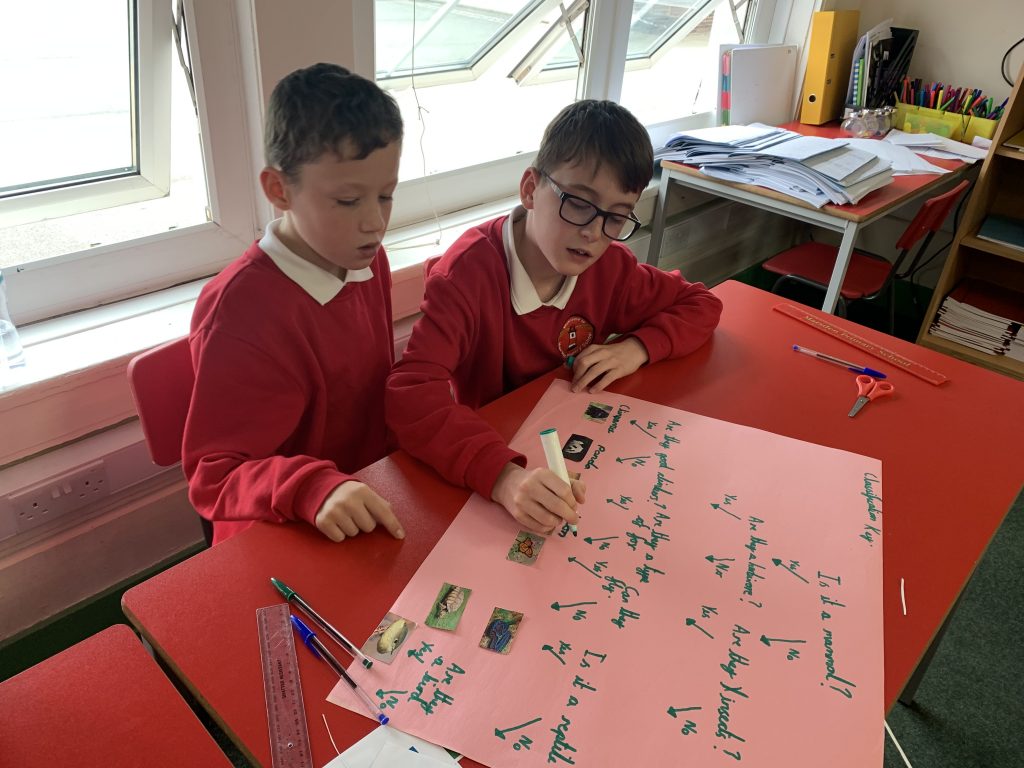 Year 6 Classification | Marsden Primary School