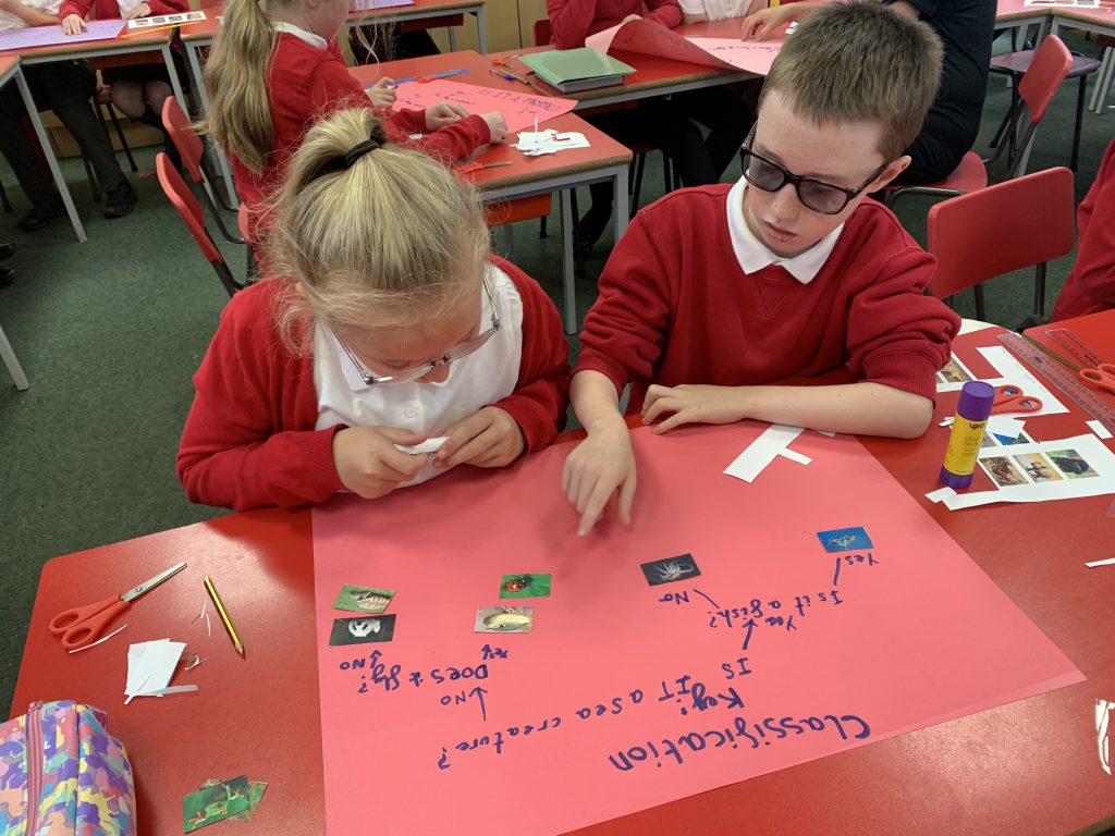 Year 6 Classification | Marsden Primary School