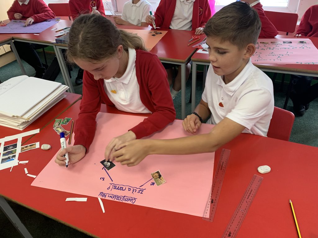 Year 6 Classification | Marsden Primary School