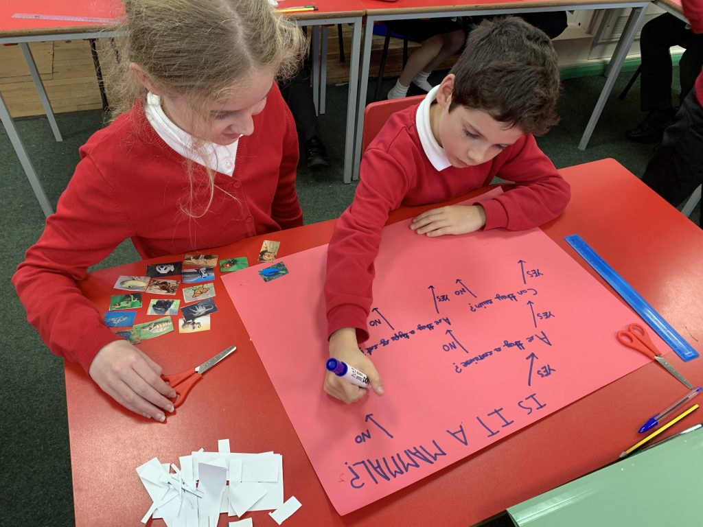Year 6 Classification | Marsden Primary School