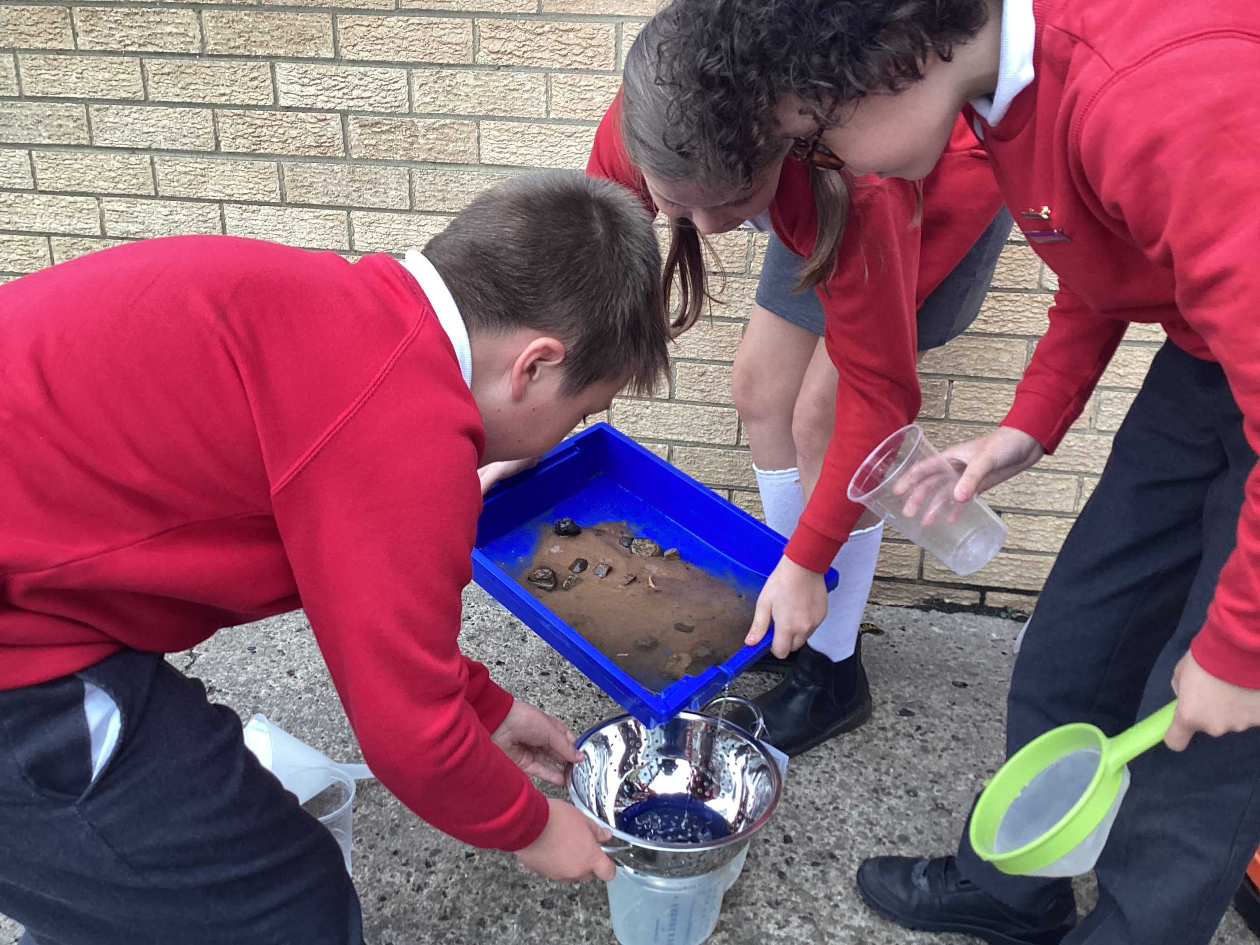 Year Five Science | Marsden Primary School