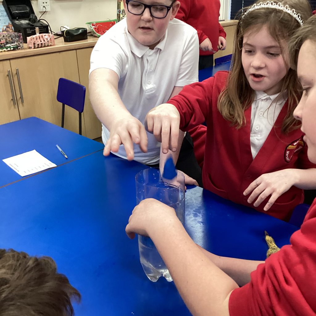 Year 5 Science | Marsden Primary School