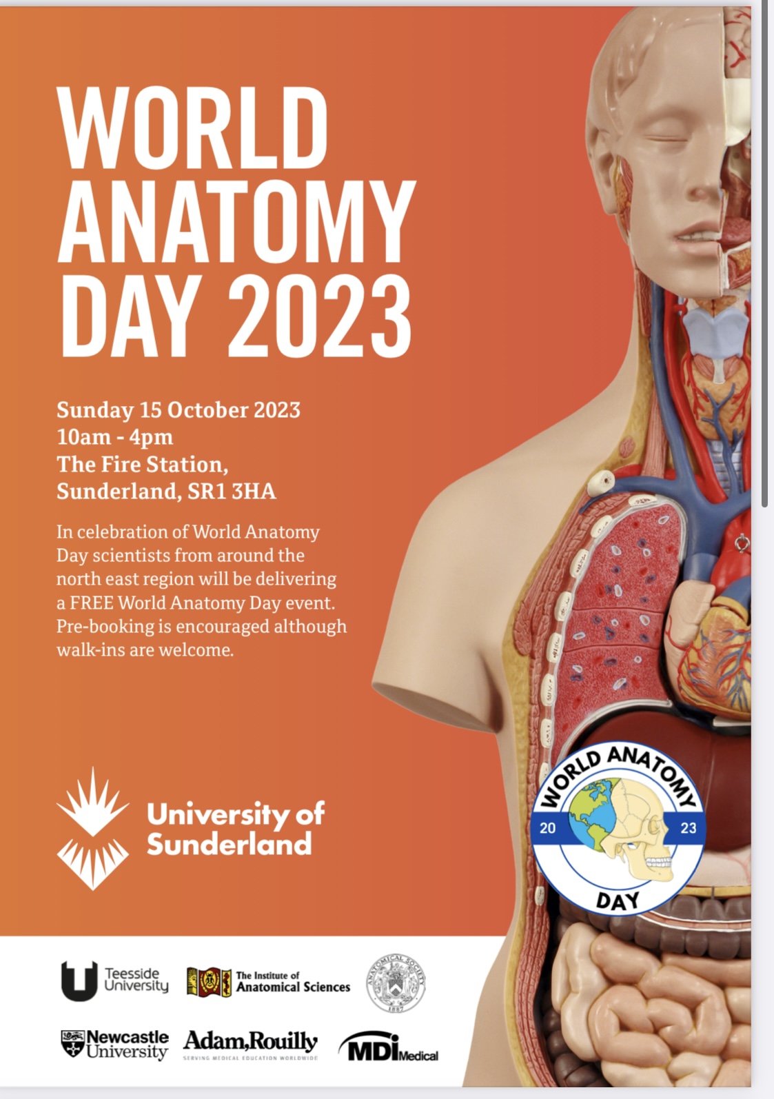 World Anatomy Day 2023 | Marsden Primary School