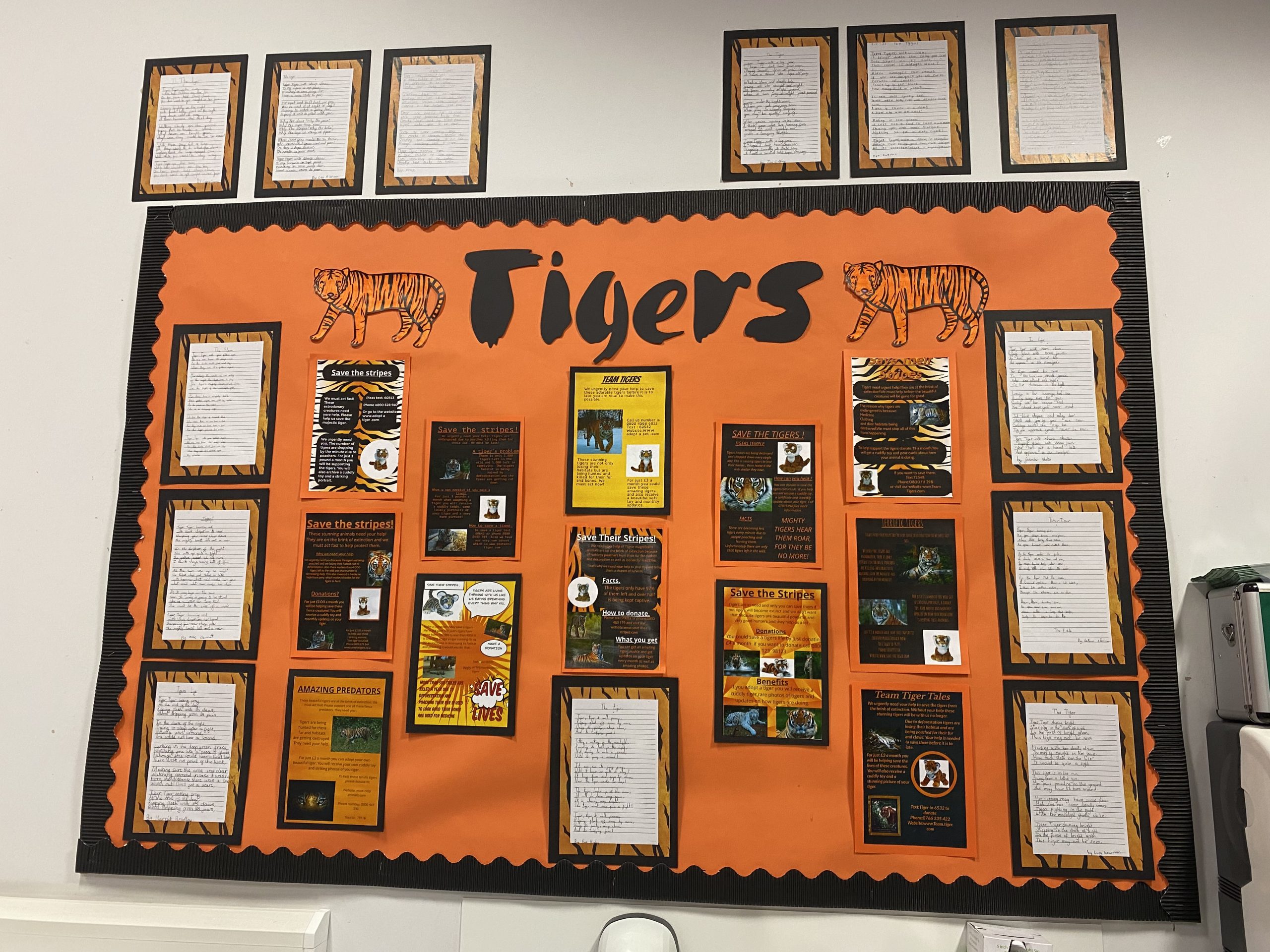 Tigers | Harton Primary School