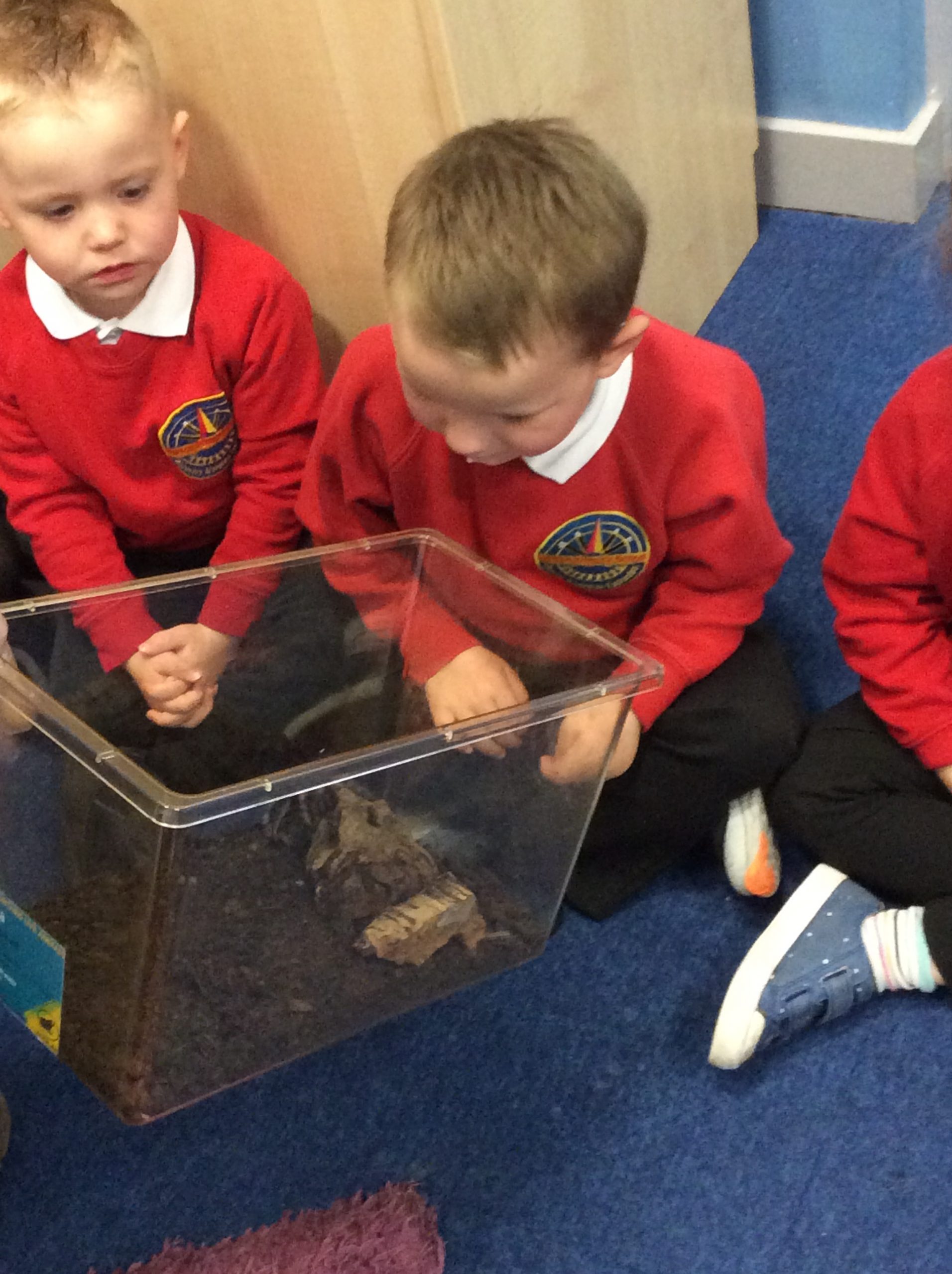 Zoolab | Harton Primary School