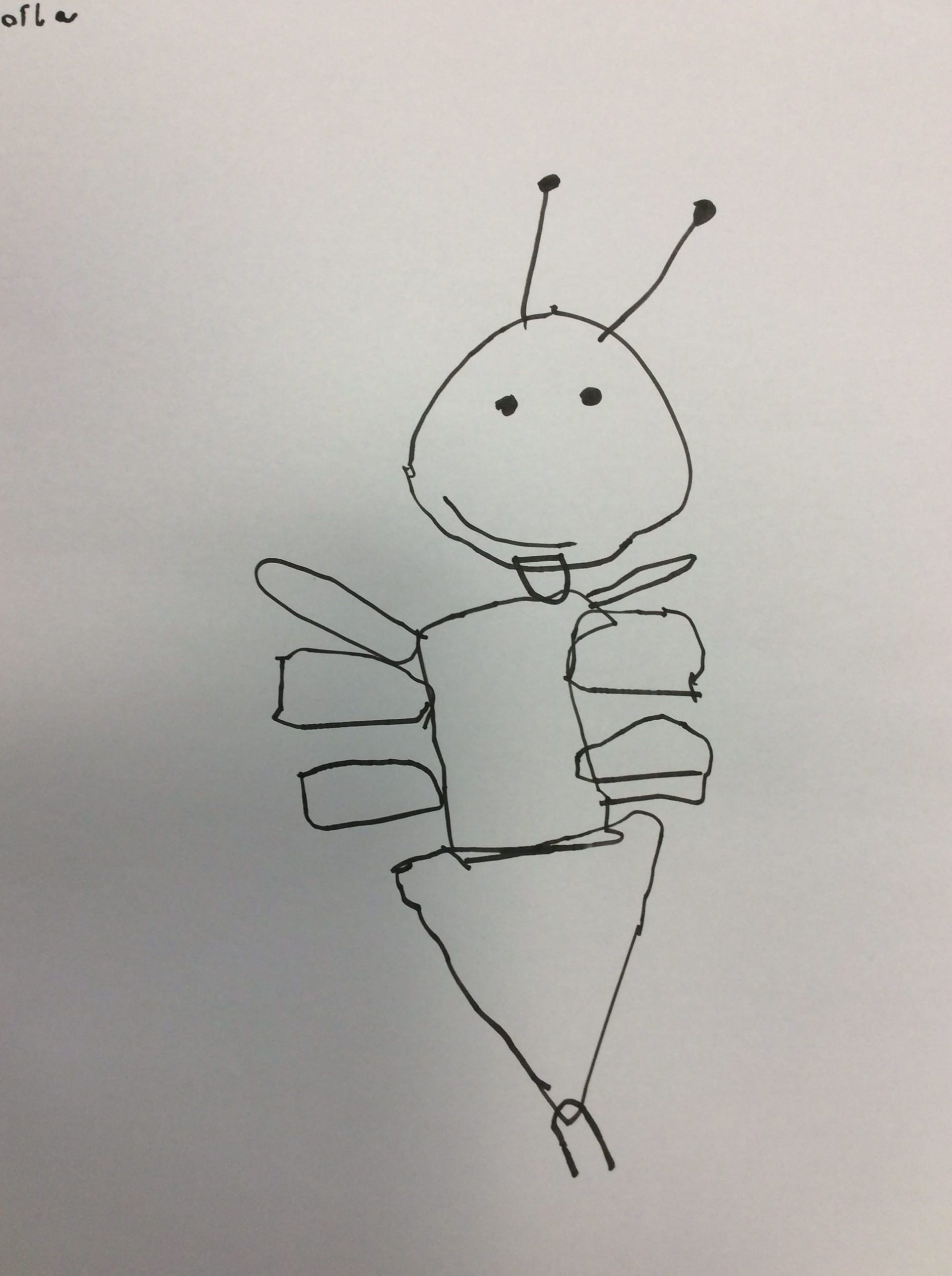 Marvellous Minibeasts | Harton Primary School