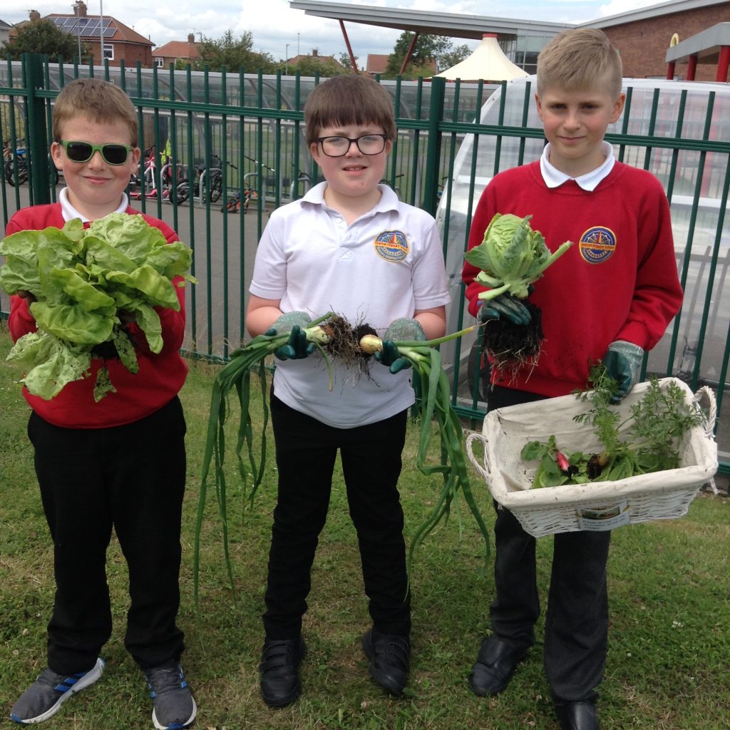 From Field to Fork | Harton Primary School