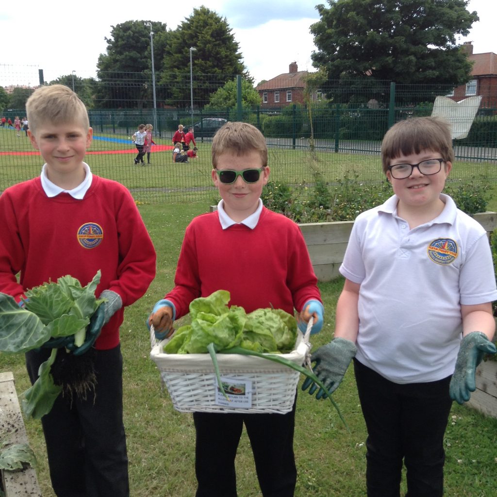 From Field to Fork | Harton Primary School