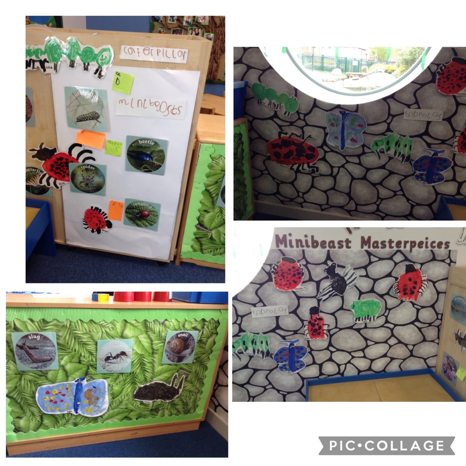 Minibeasts! | Harton Primary School