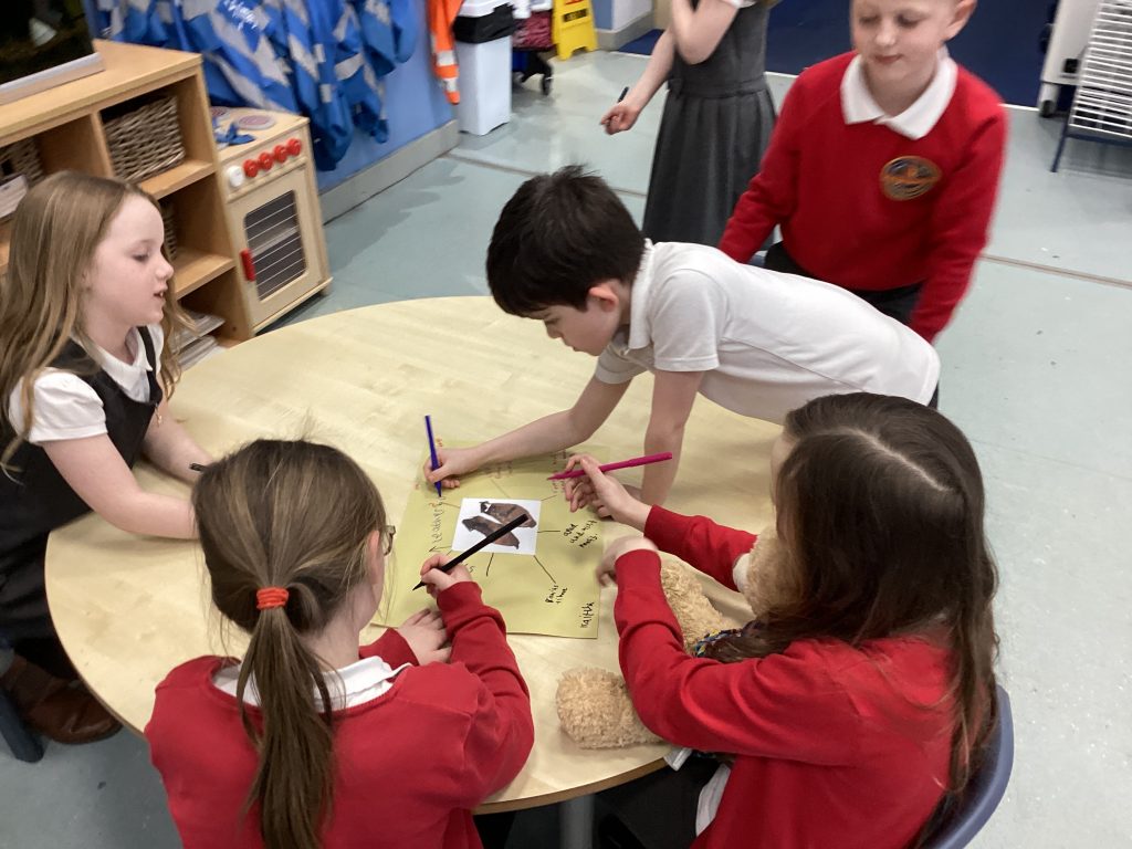 Year 3 History Club | Harton Primary School