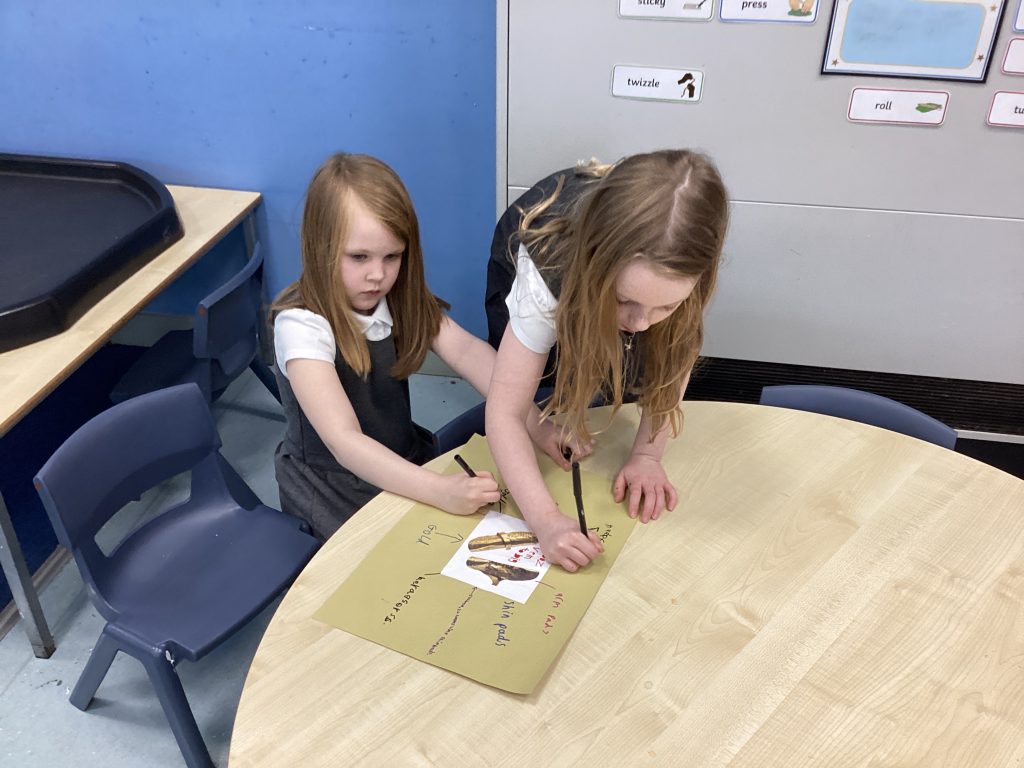 Year 3 History Club | Harton Primary School