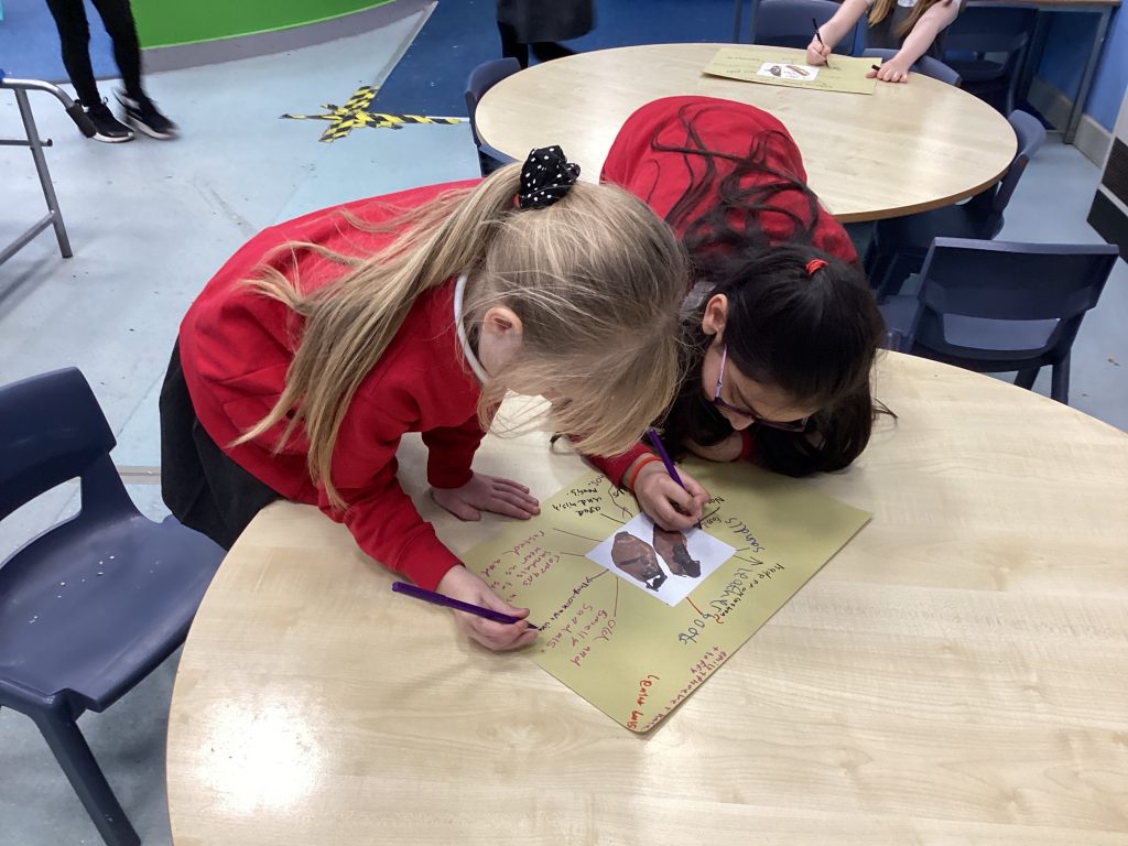 Year 3 History Club | Harton Primary School