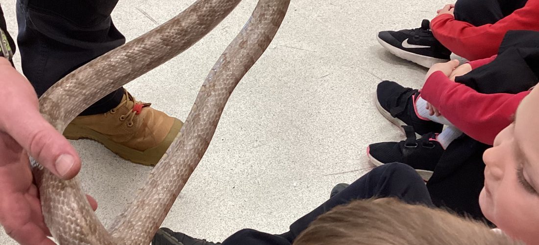 Zoolab Was Amazing!!! | Harton Primary School