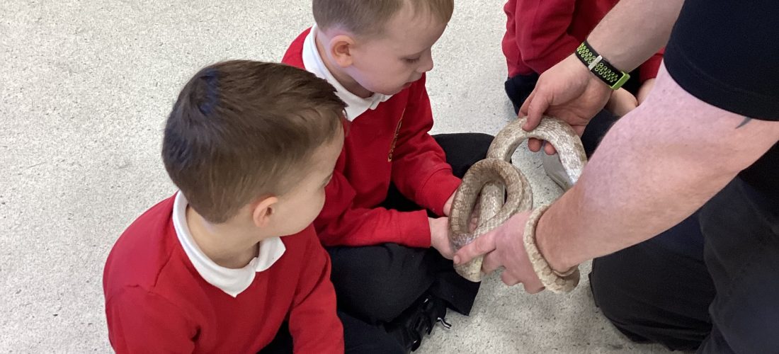 Zoolab Was Amazing!!! | Harton Primary School