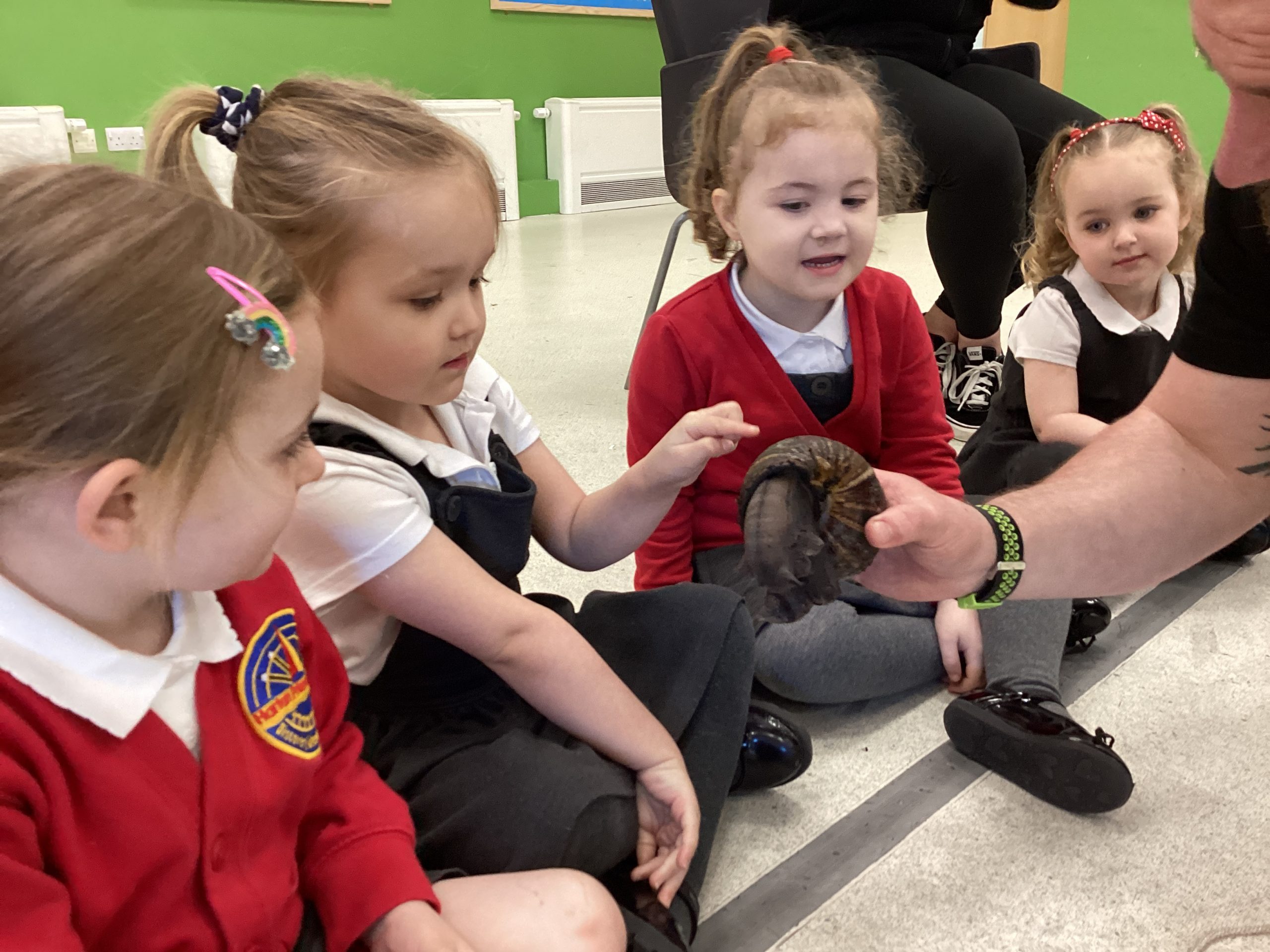 Amazing Animals! | Harton Primary School