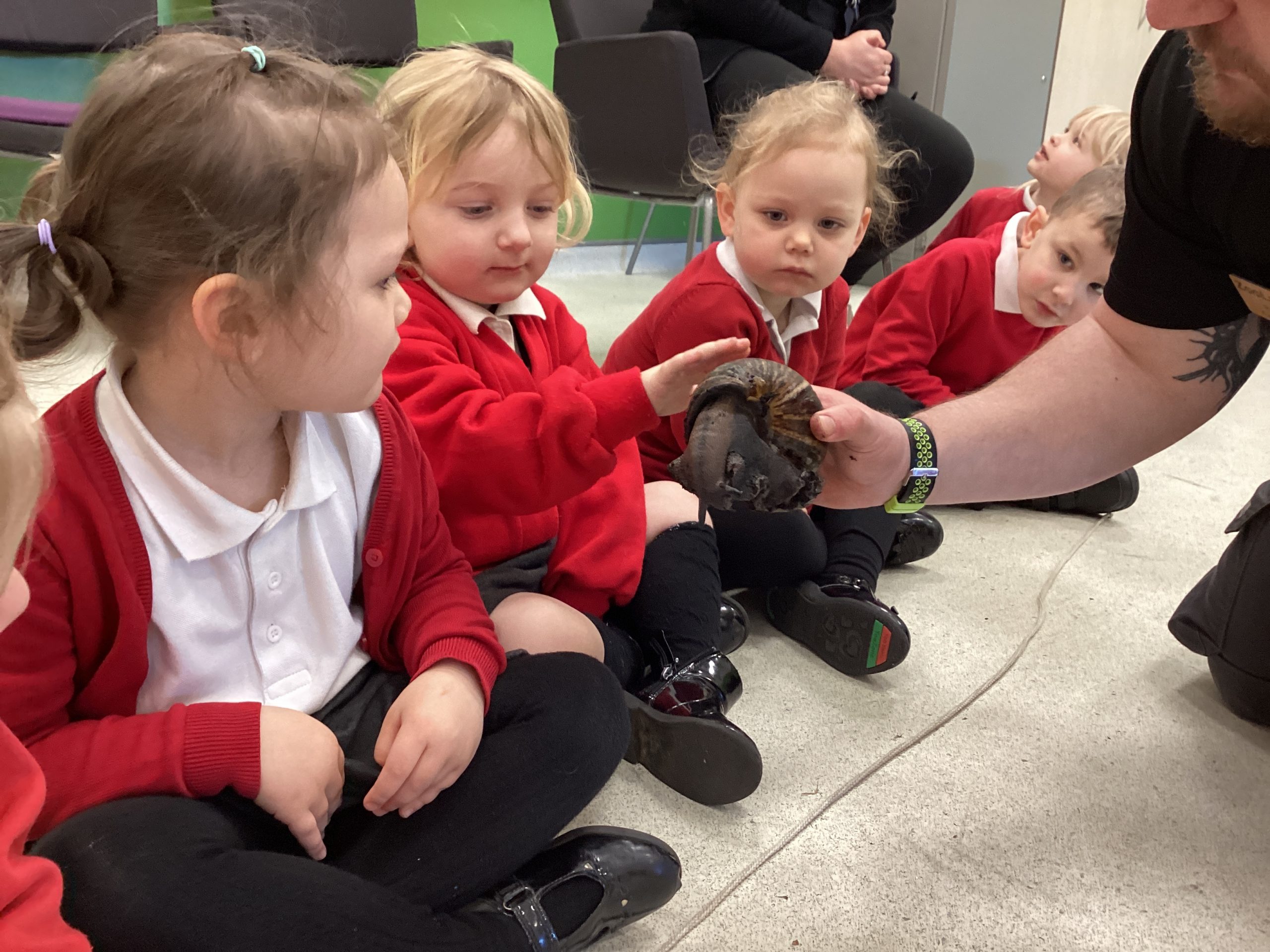 Amazing Animals! | Harton Primary School