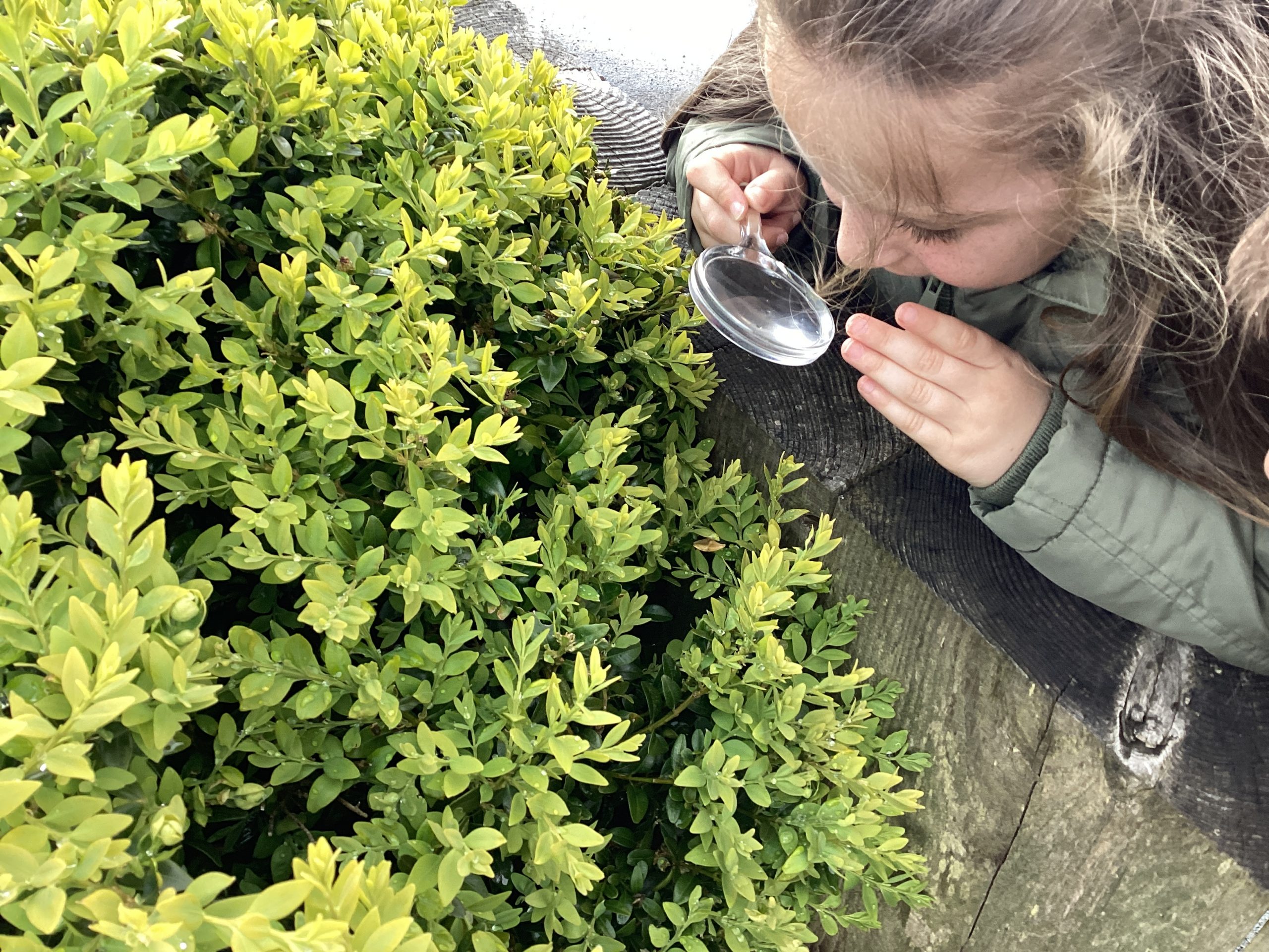 Year 2 science – Microhabitats | Harton Primary School