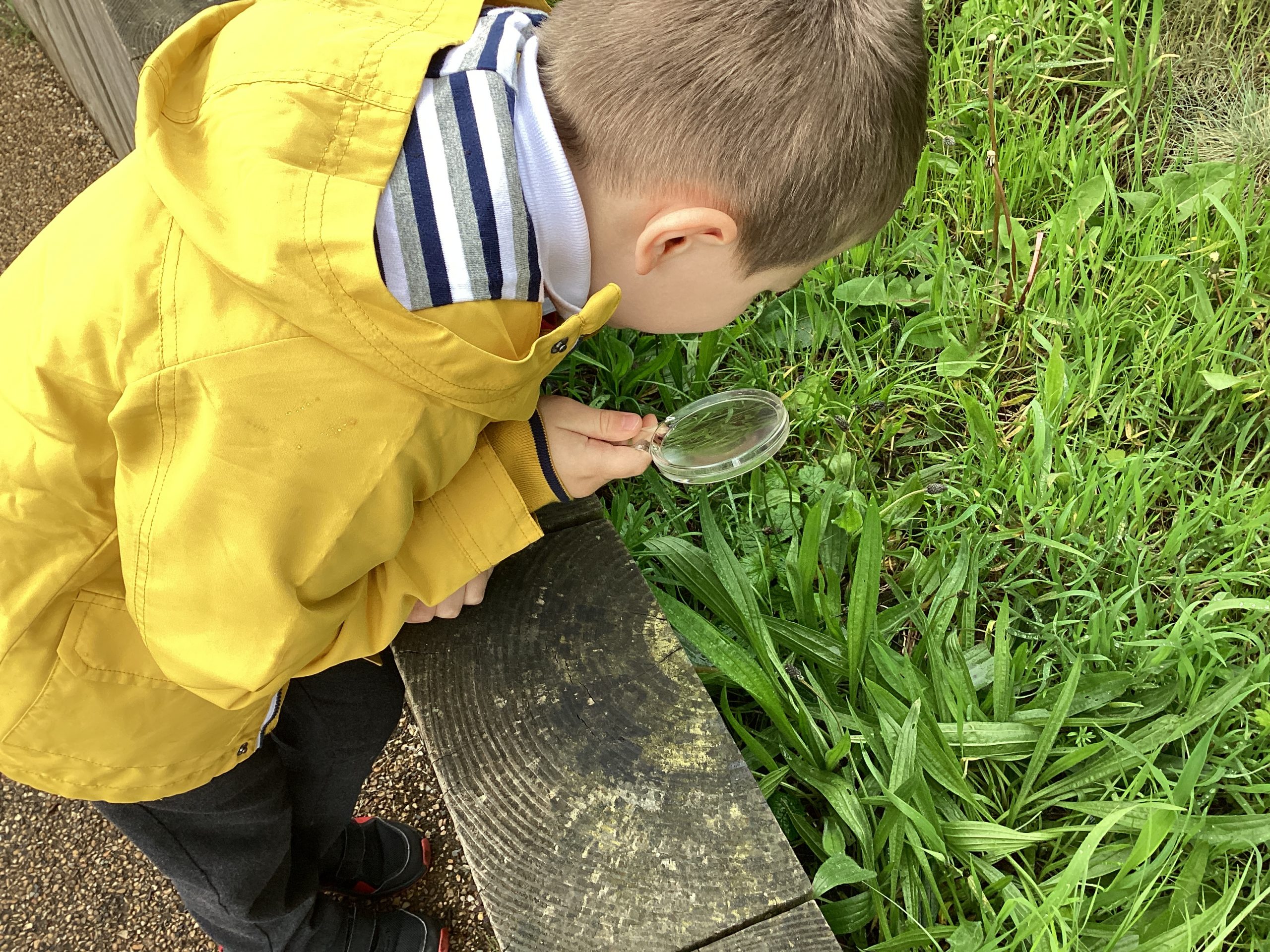 Year 2 science – Microhabitats | Harton Primary School