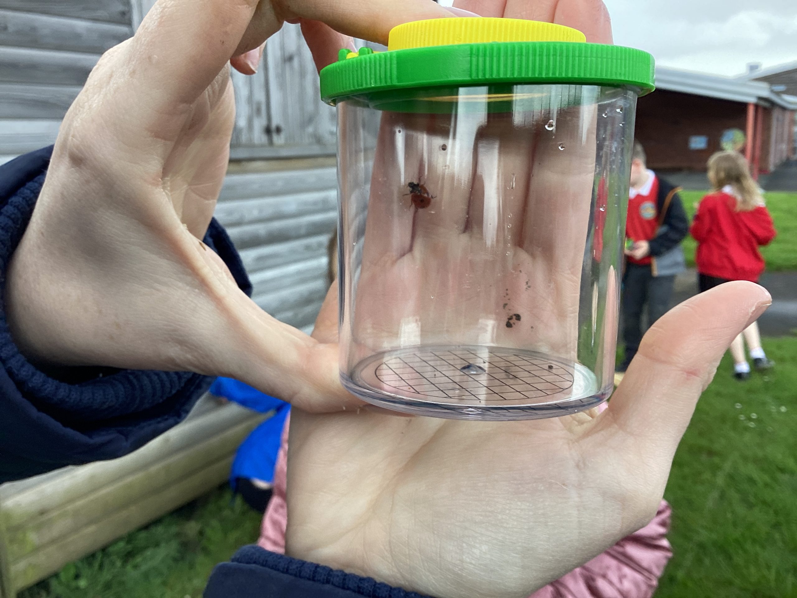 Year 2 science – Microhabitats | Harton Primary School