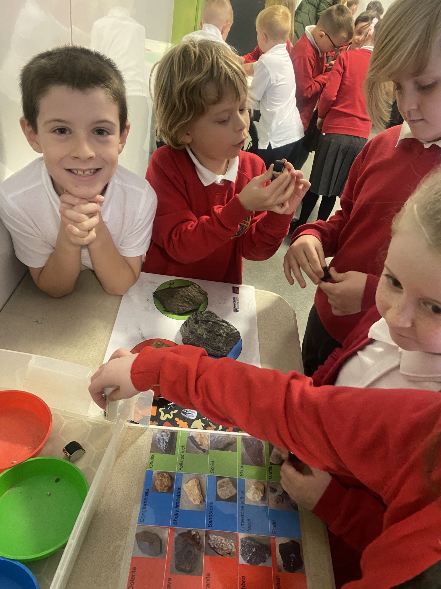 Year 3 visit the Great North Museum | Harton Primary School