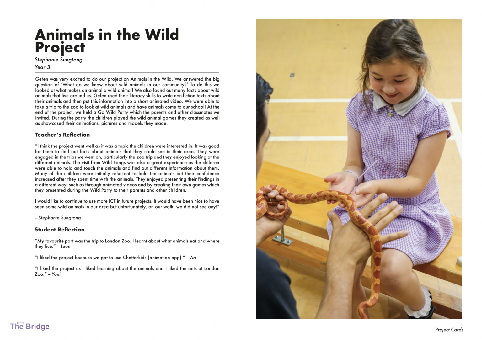 Animals in the Wild Project | Gesher School