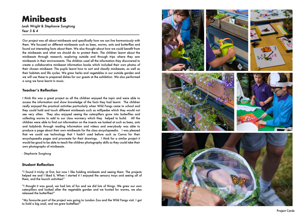 Minibeasts Project | Gesher School