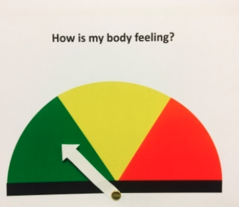 Name it to tame it: understanding the brain | Gesher School