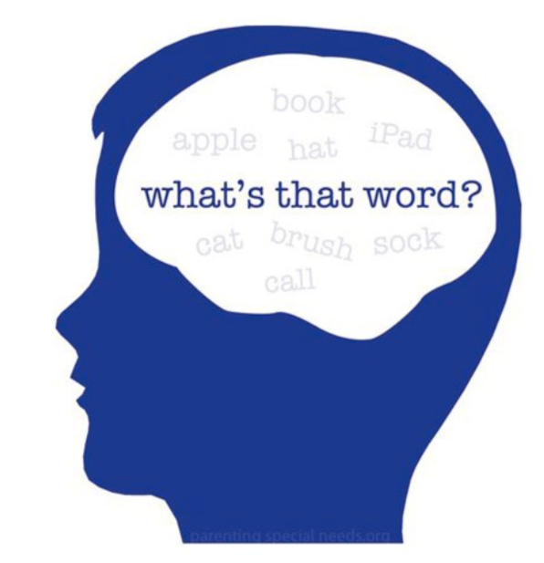 Word-finding Difficulties & Strategies | Gesher School