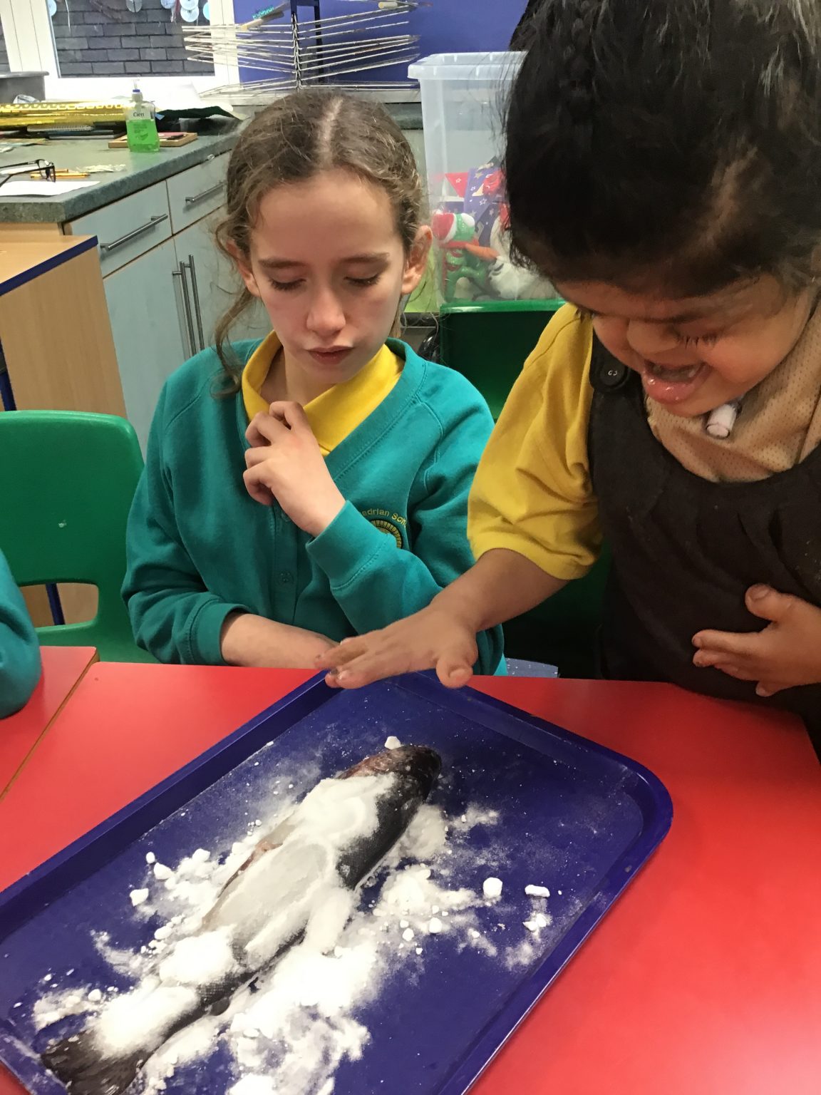 Making a mummy fish! | Hadrian School