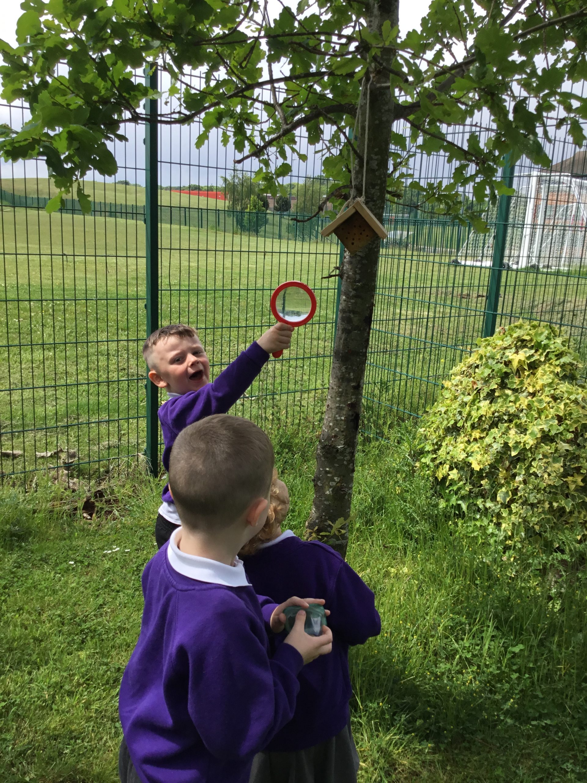 Nursery Bug Hunt | Hebburn Lakes Primary School
