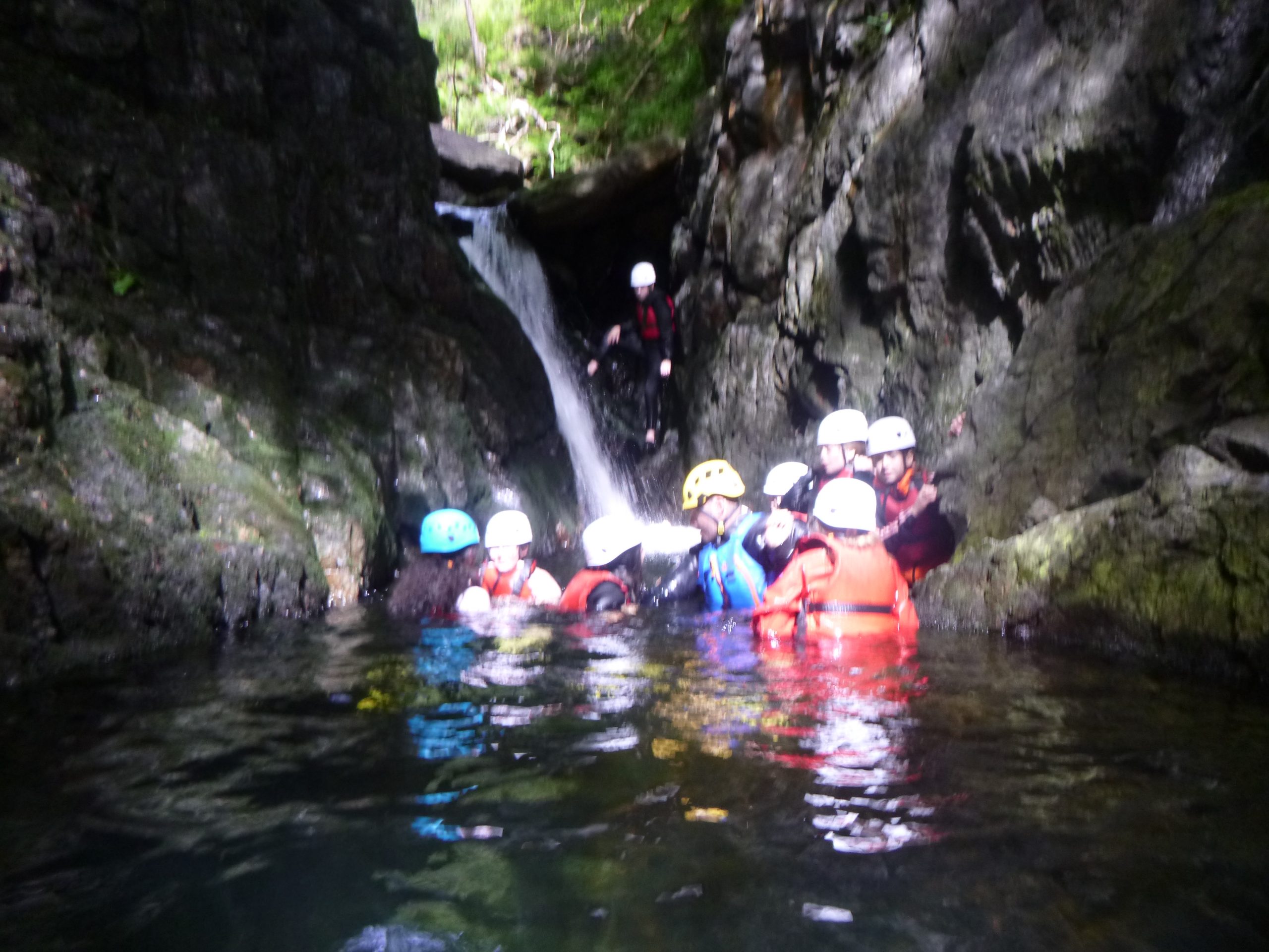 Tree-mendous Thurston! | Hebburn Lakes Primary School