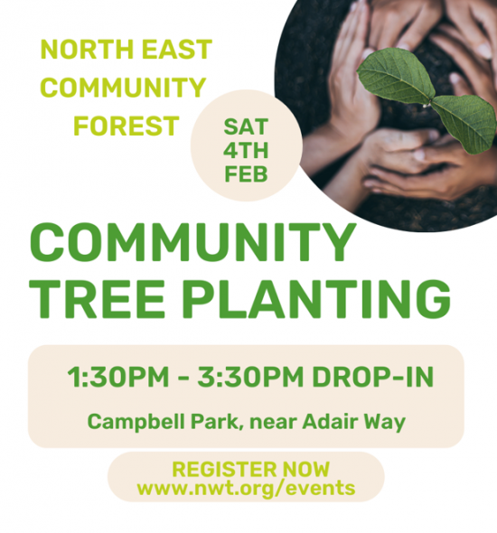 Community Tree Planting | Hebburn Lakes Primary School