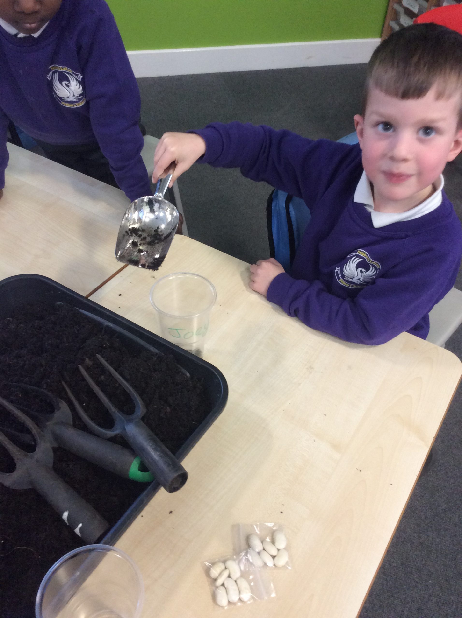 Year 1 know all about plants! | Hebburn Lakes Primary School