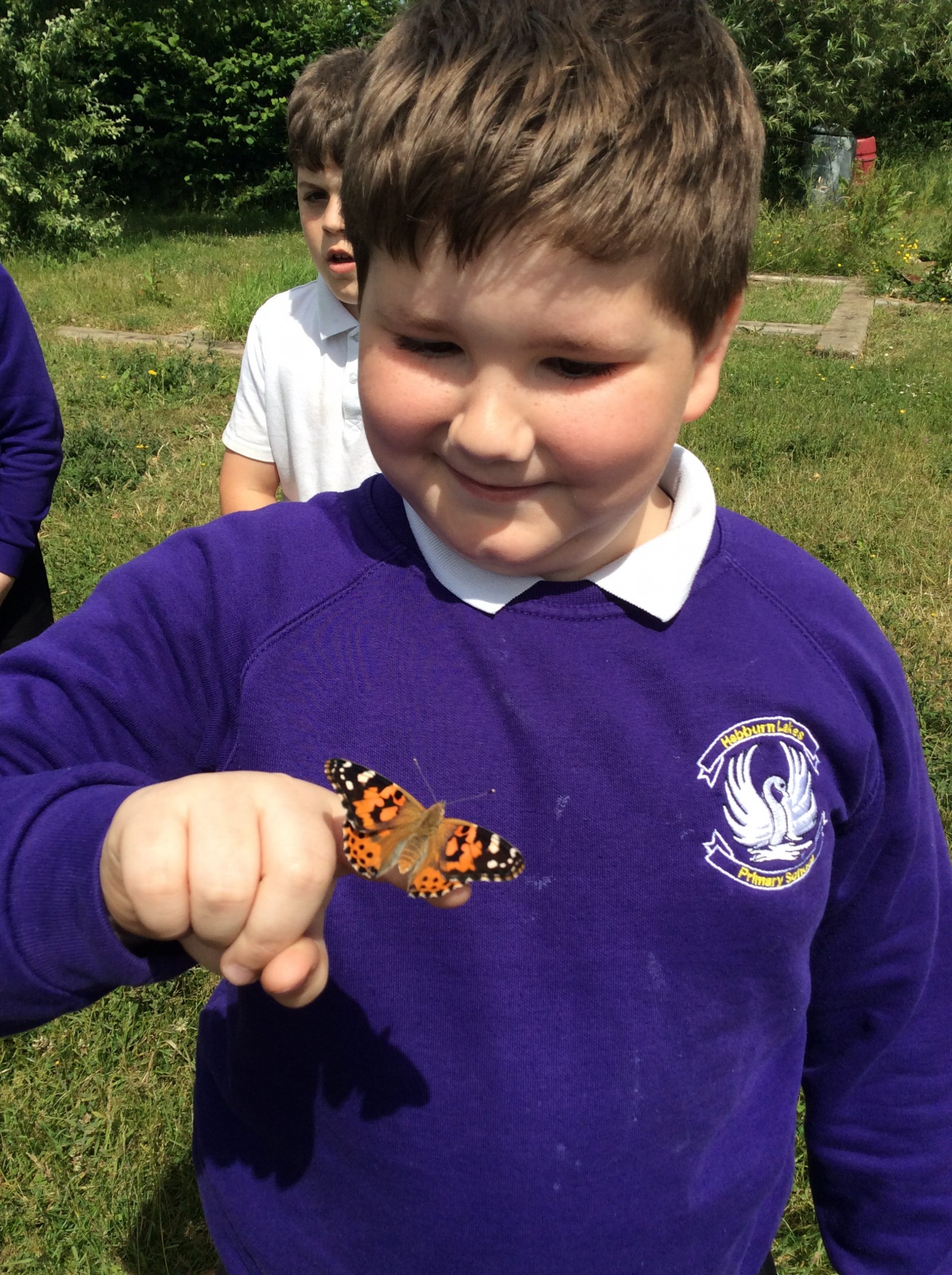 Growing Butterflies | Hebburn Lakes Primary School