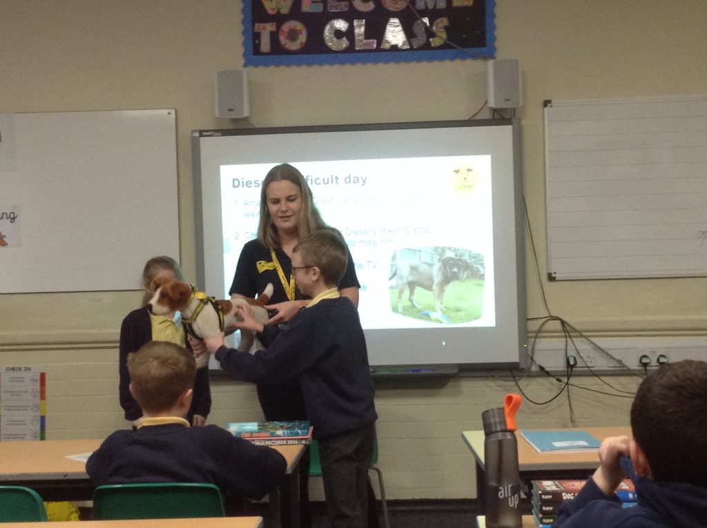 Class 2 Dogs’ Trust | Hedworth Lane Primary School