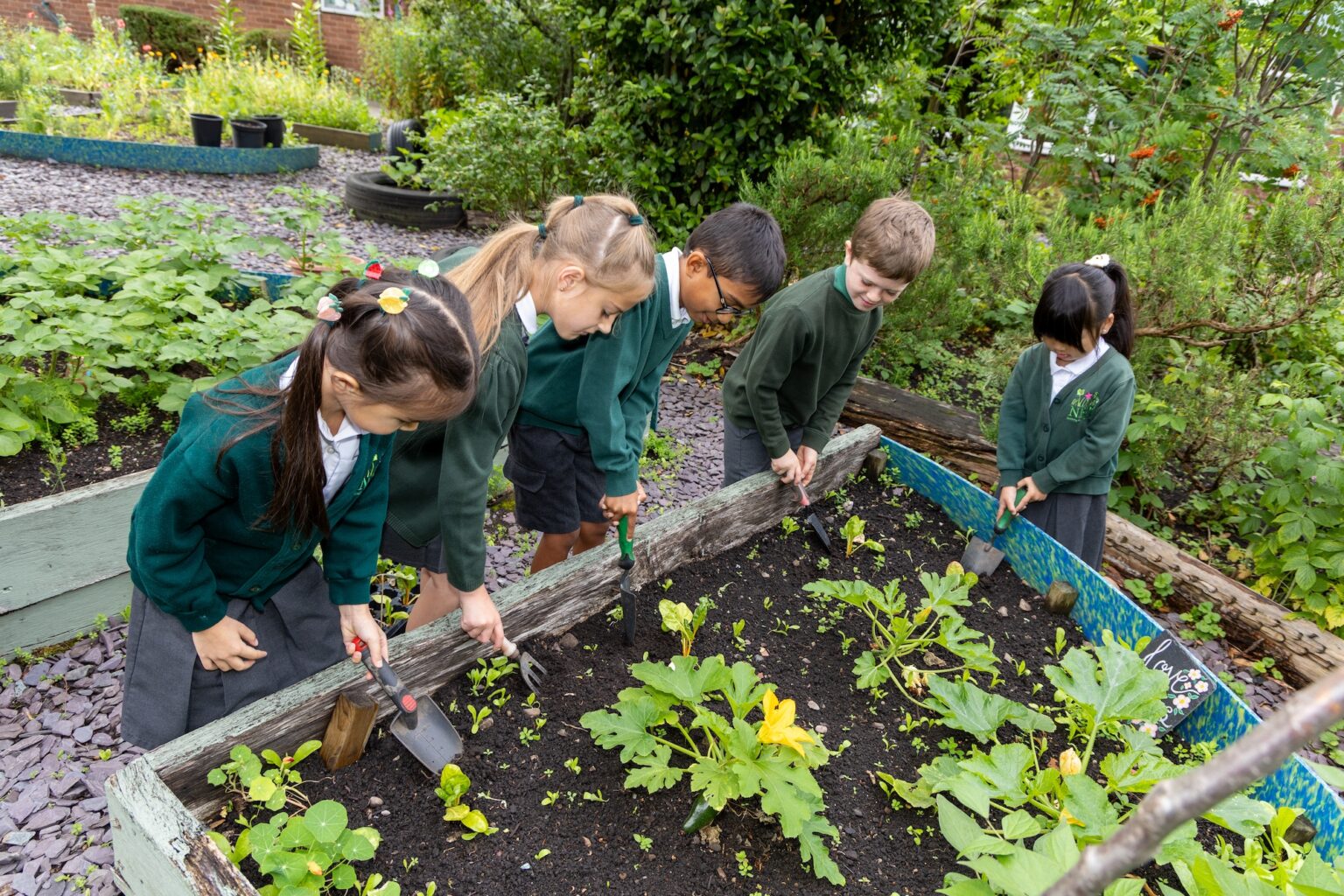 Year 2 – Norris Bank Primary School