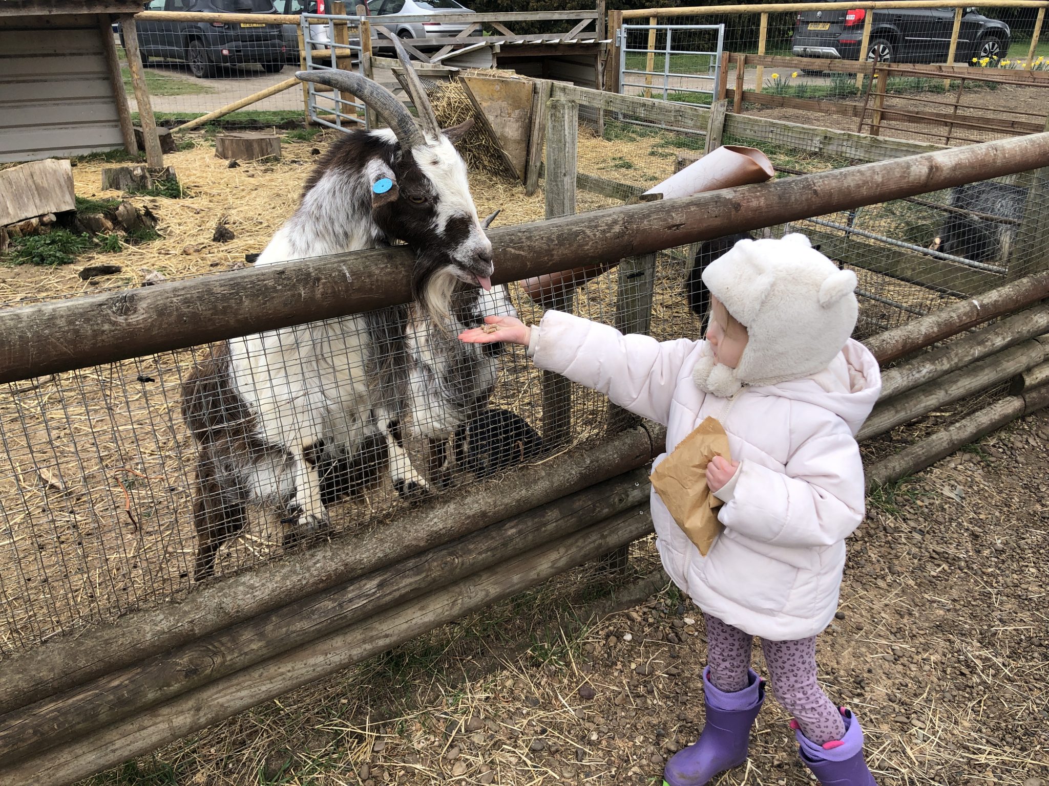 Reception visit Boston Park Farm | Norton Infant School