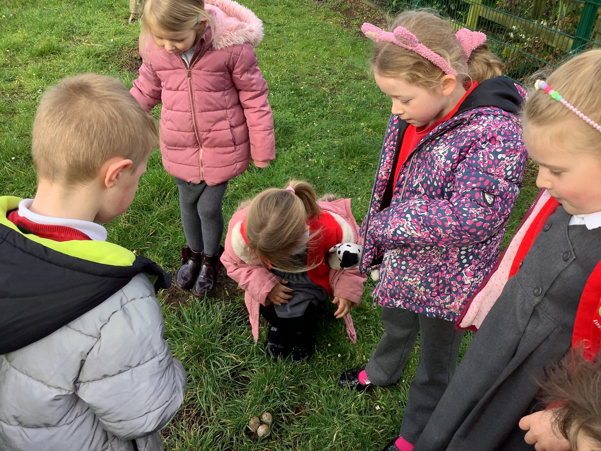 A lovely morning walk for Year One Crew | Norton Infant School