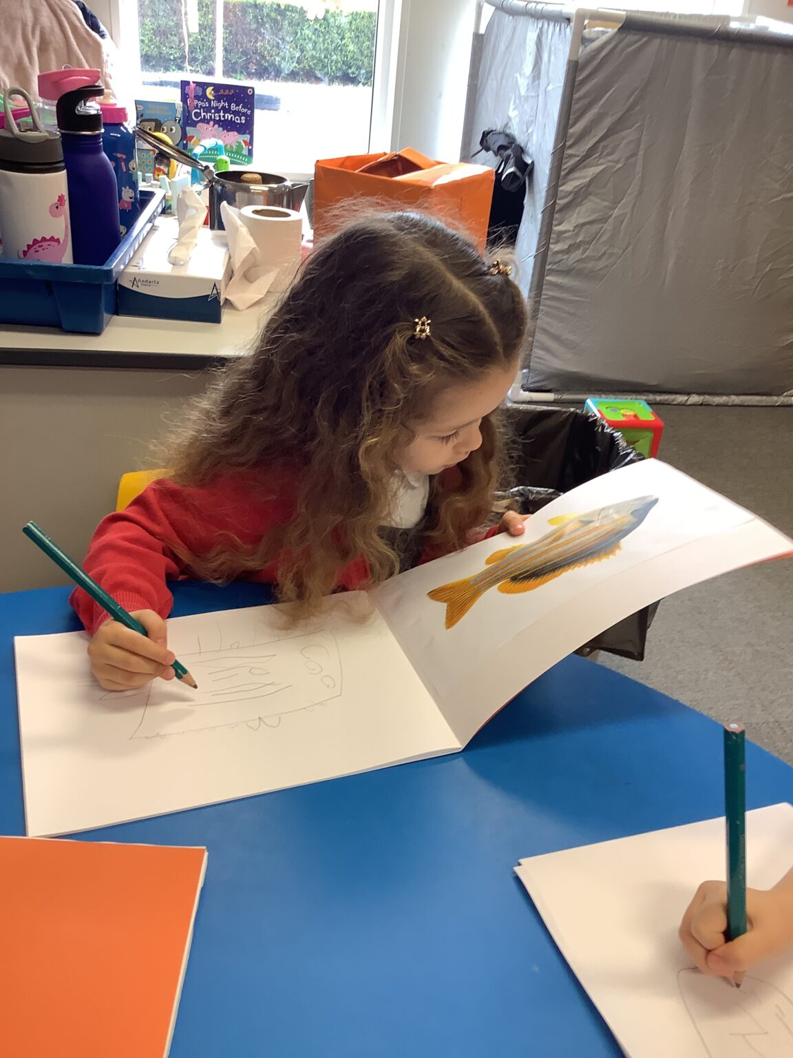 Nursery’s Fish | Norton Infant School