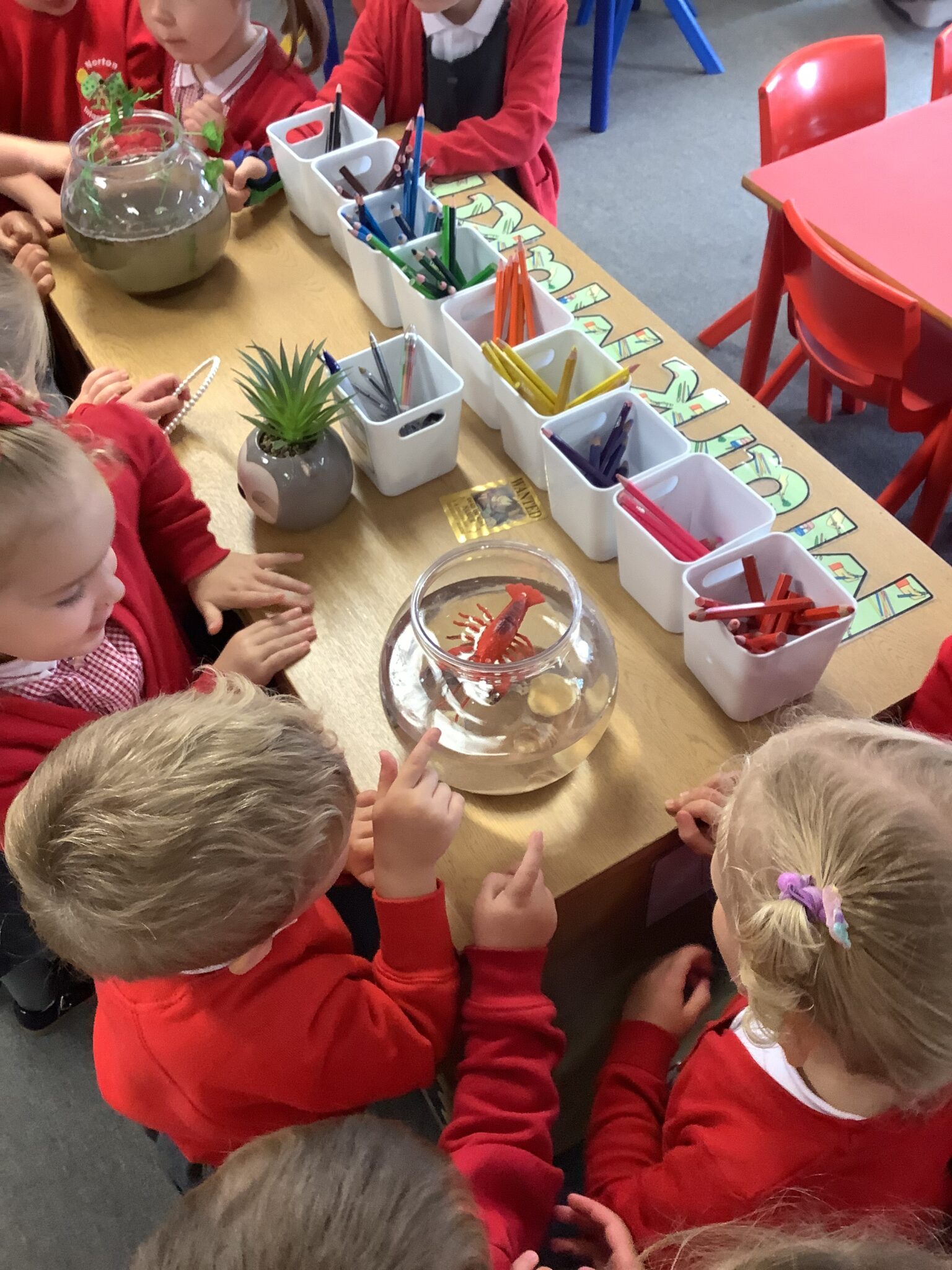 The Bog Baby. | Norton Infant School