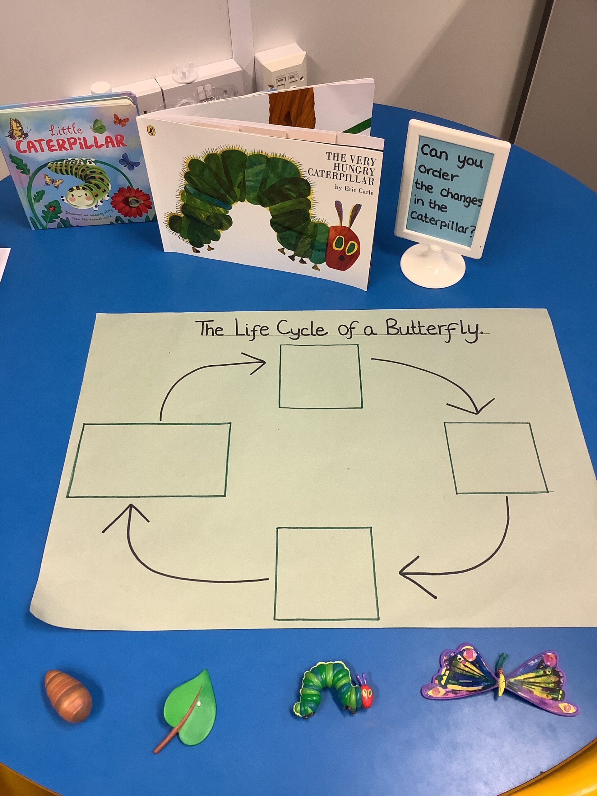 The life cycle of a caterpillar. | Norton Infant School