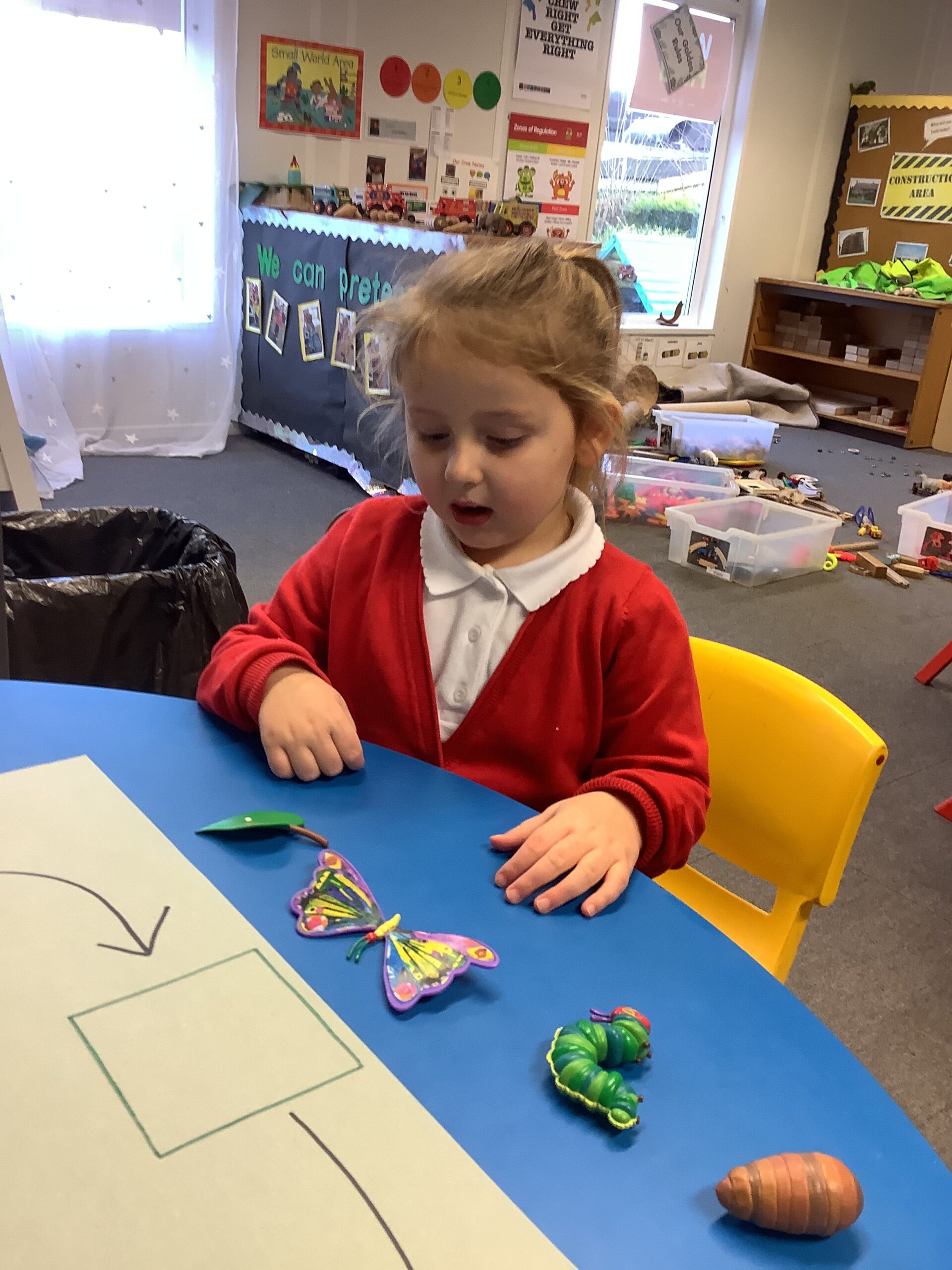 The life cycle of a caterpillar. | Norton Infant School
