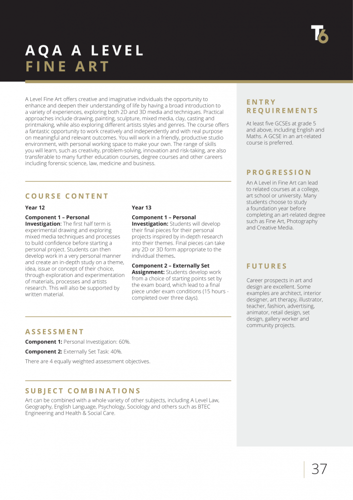 AQA A Level Fine Art | T6