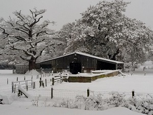 A Year in the Life of Oathall Farm | Oathall Community College