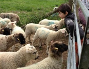 Farm Open Day a Success | Oathall Community College