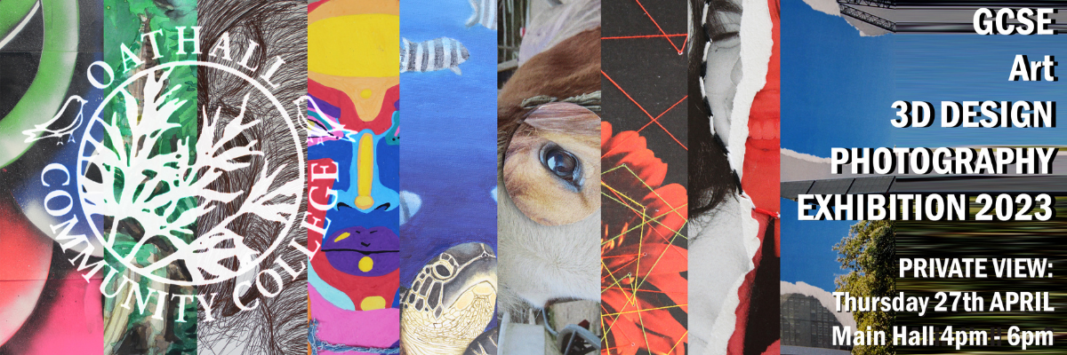 GCSE Art, Photography and 3D Design Exhibition | Oathall Community College