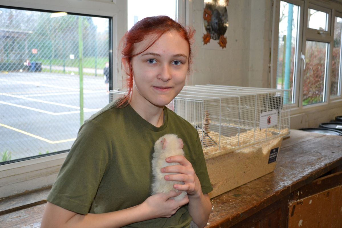 Four adorable, baby guinea pigs welcomed to the Farm | Oathall ...