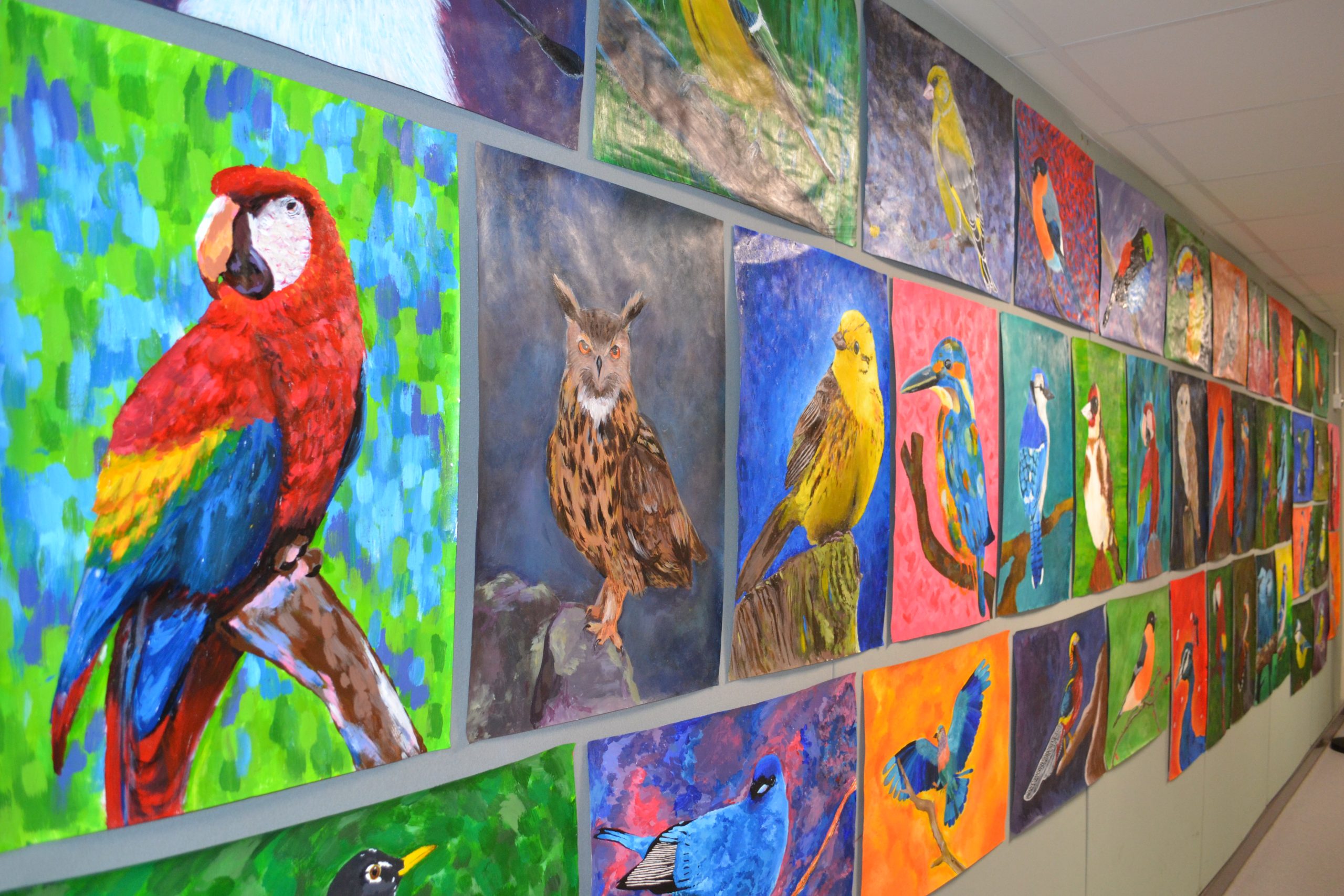 GCSE students acrylic animal art goes on display | Oathall Community ...