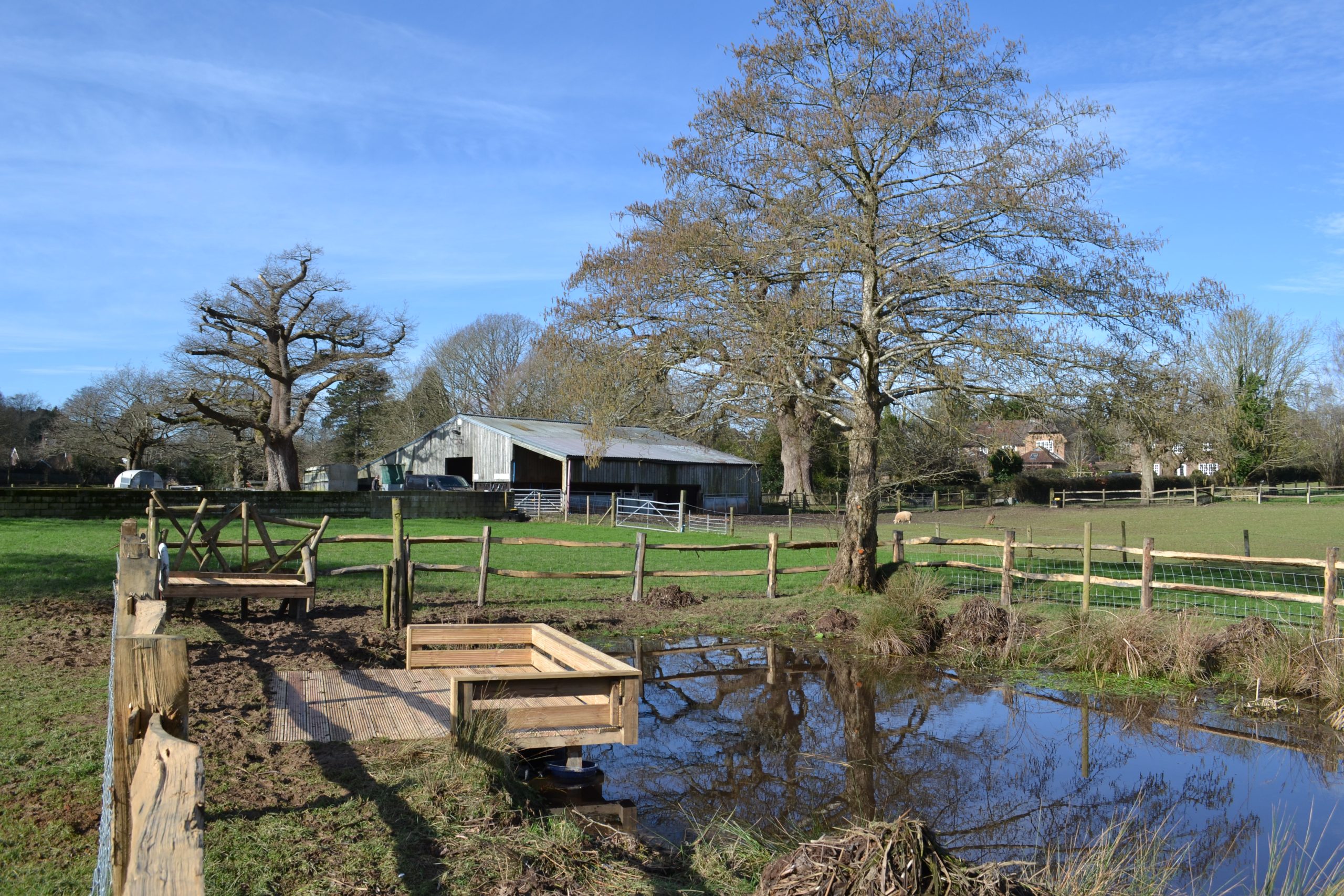 Oathall pond restoration works completed | Oathall Community College