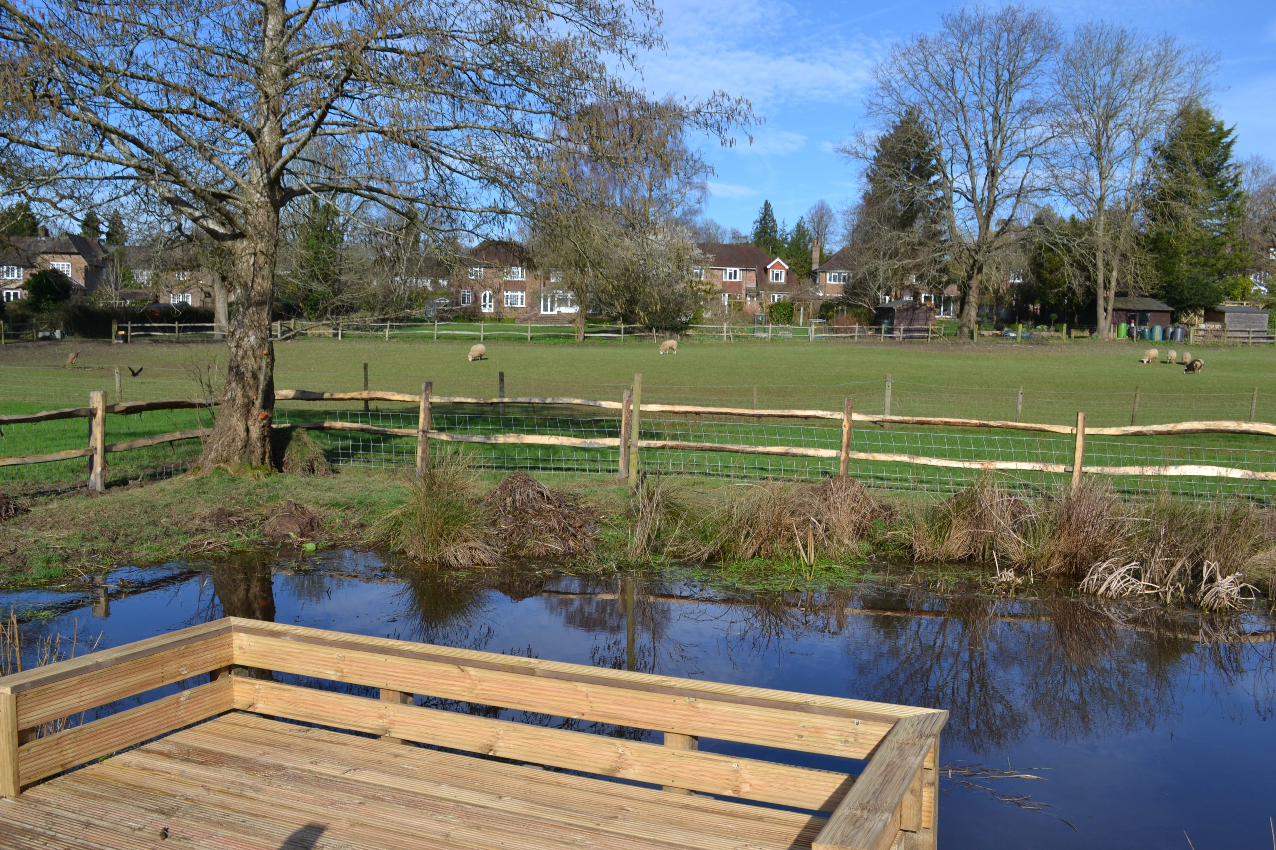 Oathall pond restoration works completed | Oathall Community College
